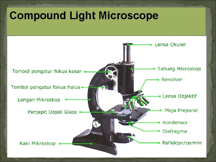 Pertemuan ke3 Mikrobiologi Pertanian AET 209 Struktur dan