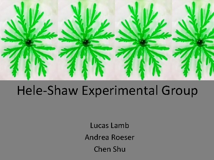 HeleShaw Experimental Group Lucas Lamb Andrea Roeser Chen