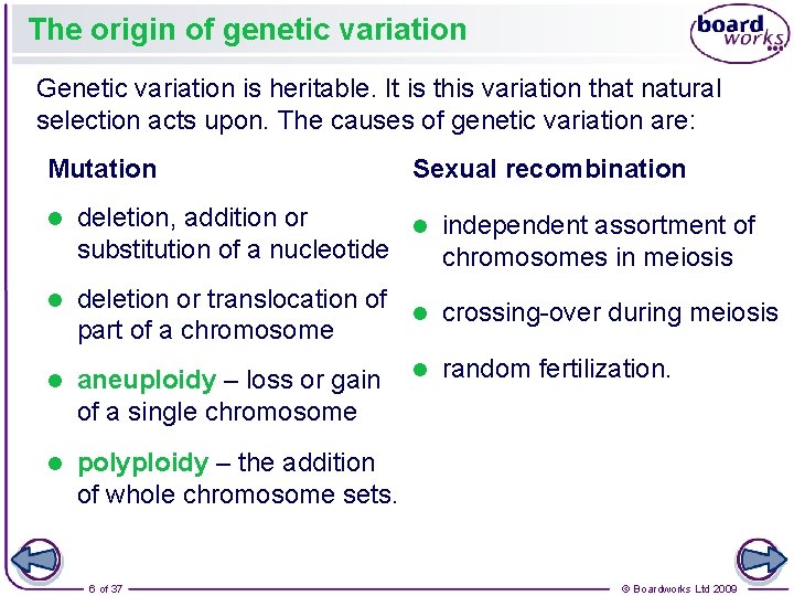 Genetic Diversity What is biodiversity Biodiversity is a