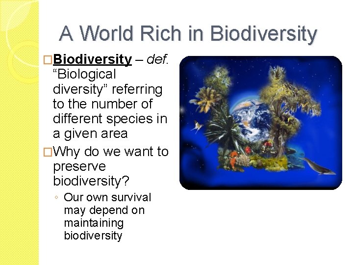 Biodiversity Chapter 10 1 10 2 Biodiversity Objectives