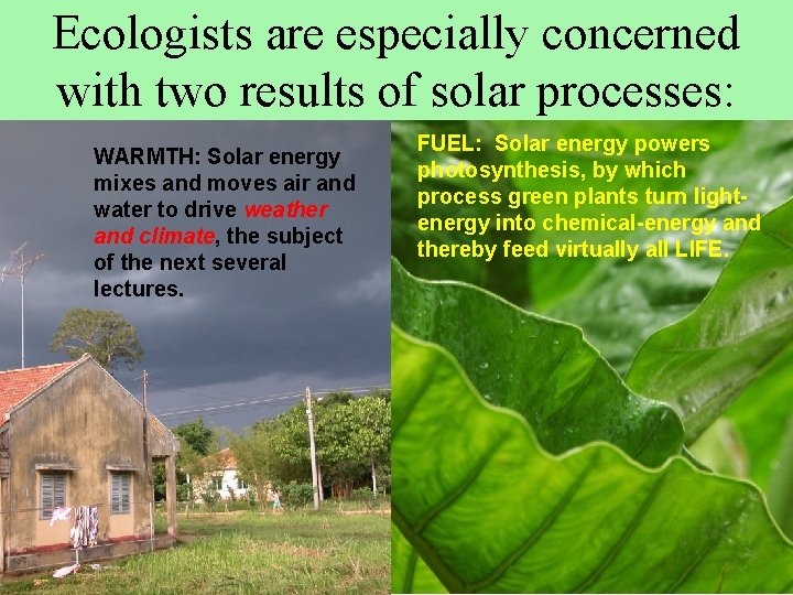 Basic Energetics Theory behind Human Responses The basic