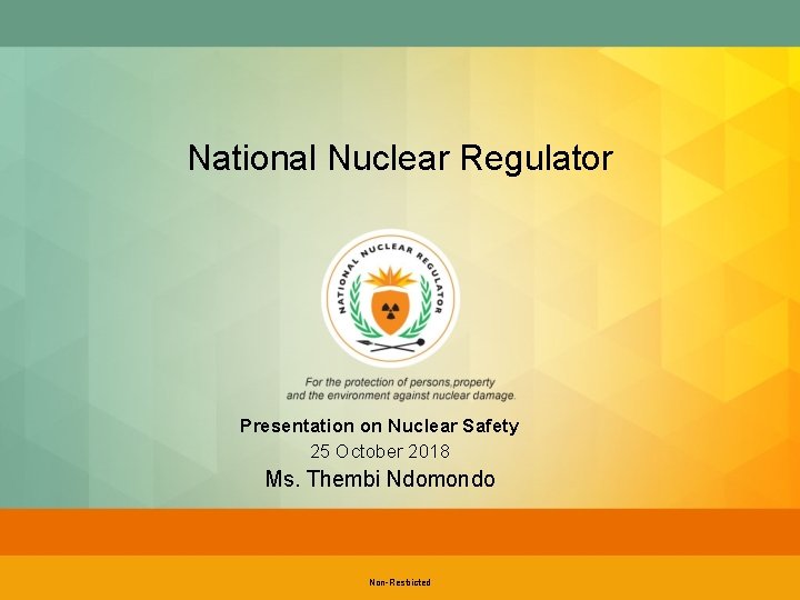 National Nuclear Regulator Presentation on Nuclear Safety 25