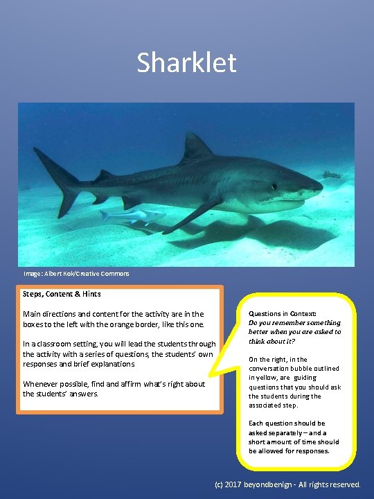 Sharklet Image Albert KokCreative Commons Steps Content Hints