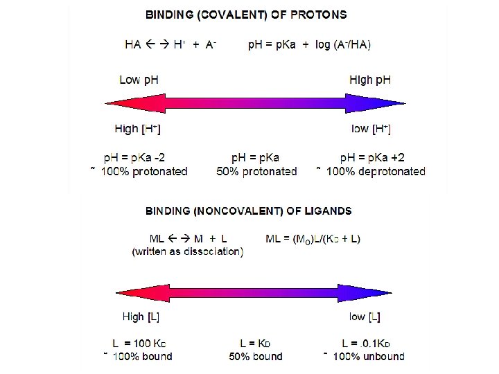 Binding The secret of life is molecular recognition