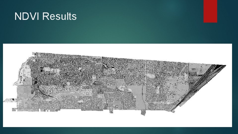 Biomass Study Is there a correlation between annual