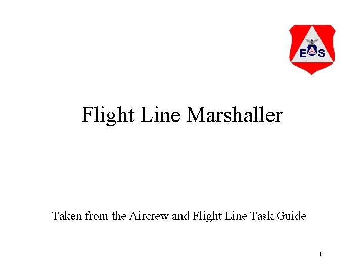 Flight Line Marshaller Taken from the Aircrew and