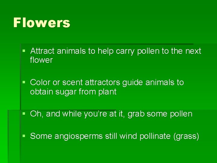 Plant kingdom diversity Classification of plants Vascular plants