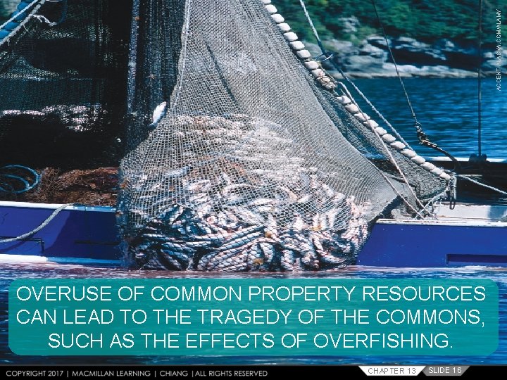 SLIDES CREATED BY ERIC CHIANG WORLDFOTO ALAMY 13