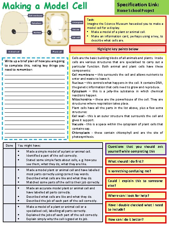 Making a Model Cell Specification Link Home School