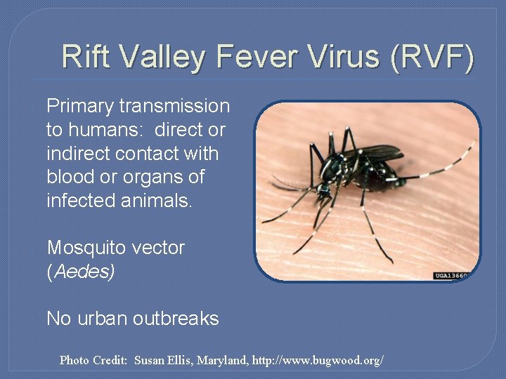 What is Biosecurity Amanda Hodges Ph D EntomologyNematology