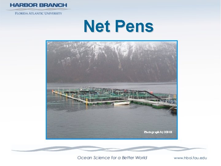 Site Selection Developed by the Harbor Branch ACTED