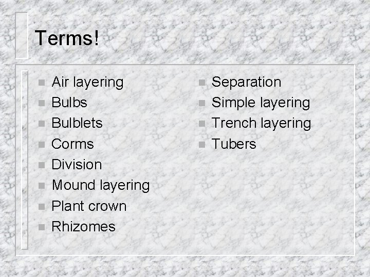 Lesson 4 Propagating Plants by Division Separation and