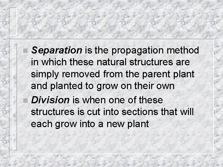 Lesson 4 Propagating Plants by Division Separation and