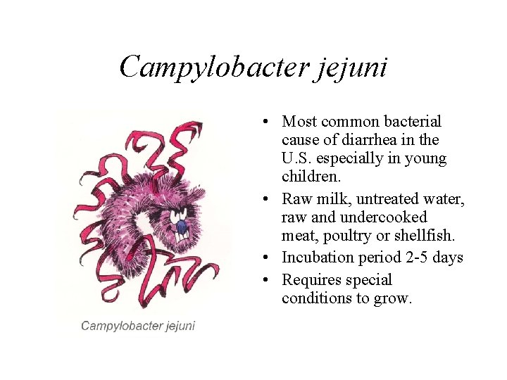 The 12 Most Unwanted Bacteria Campylobacter jejuni Most