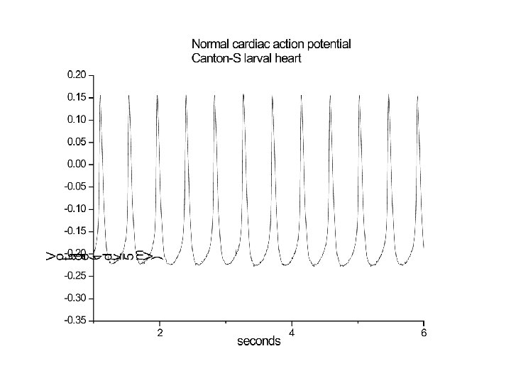 Recording from the Nervous System MK Mathew NCBS