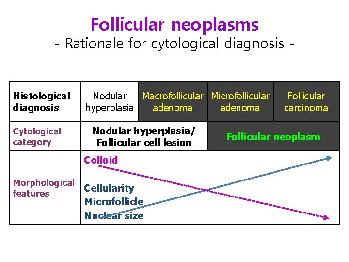 The Bethesda System for Reporting Thyroid Cytopathology 2009