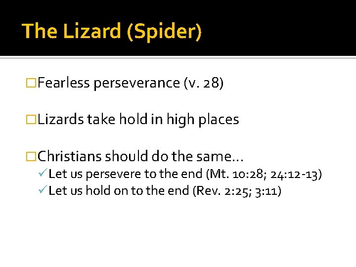 Four Wise Little Creatures Proverbs 30 24 28