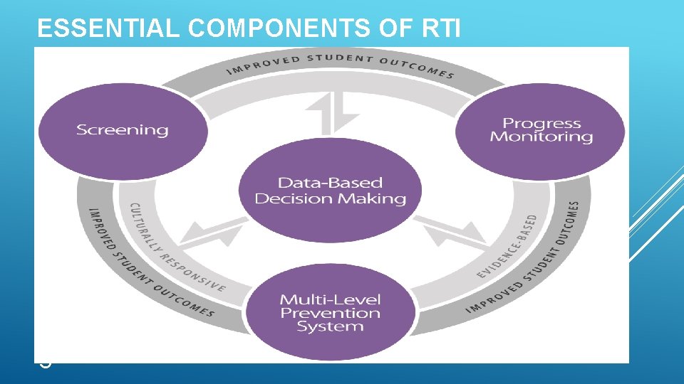 Bainbridge Island School District RTIMTSSESSENTIAL ELEMENTS Mike Jacobsen