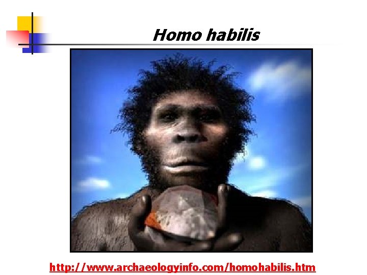 HUMAN EVOLUTION GENUS HOMO TimeLine of Hominid Evolution