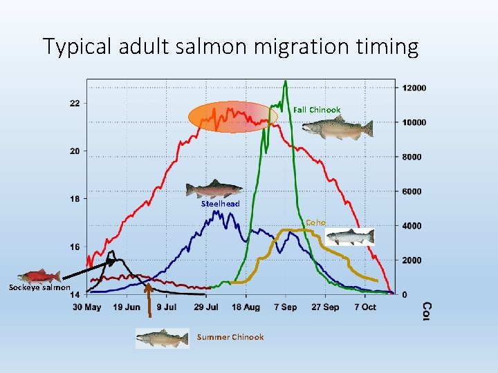 Climate change impacts to fishes in the Columbia