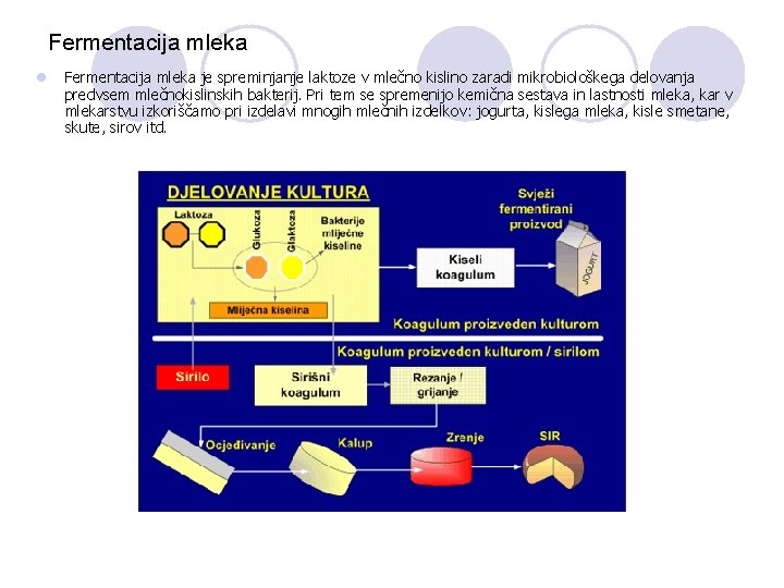 FERMENTACIJA Kaj je fermentacija Fermentacija je razgradnja organskih