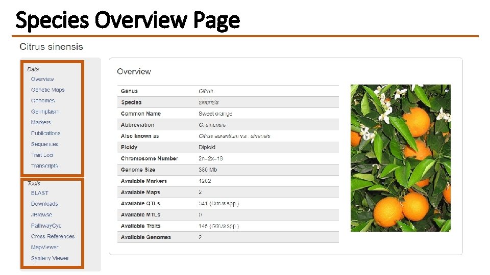 Resources for HLB and Citrus Genomics Genetics and