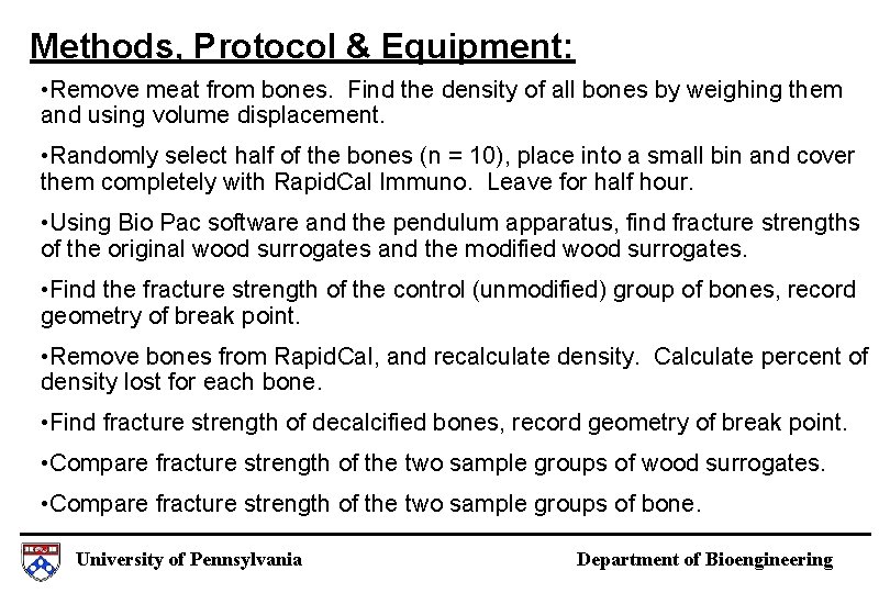 Bone Decalcification and Fracture Strength GW 4 B
