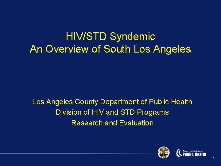 HIVSTD Syndemic An Overview of South Los Angeles