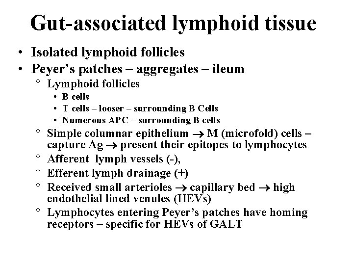 Histology of the immune lymphoid lymphatic system Jeanne
