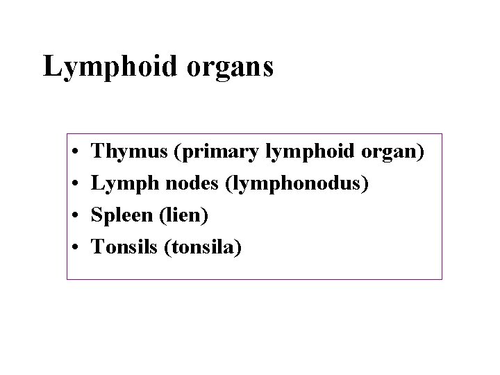 Histology of the immune lymphoid lymphatic system Jeanne