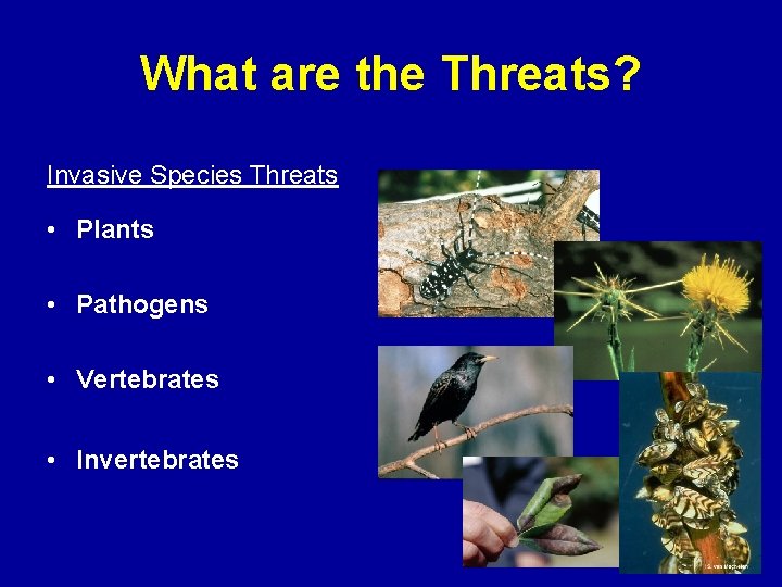 Preventing the Spread of Invasive Species on Public
