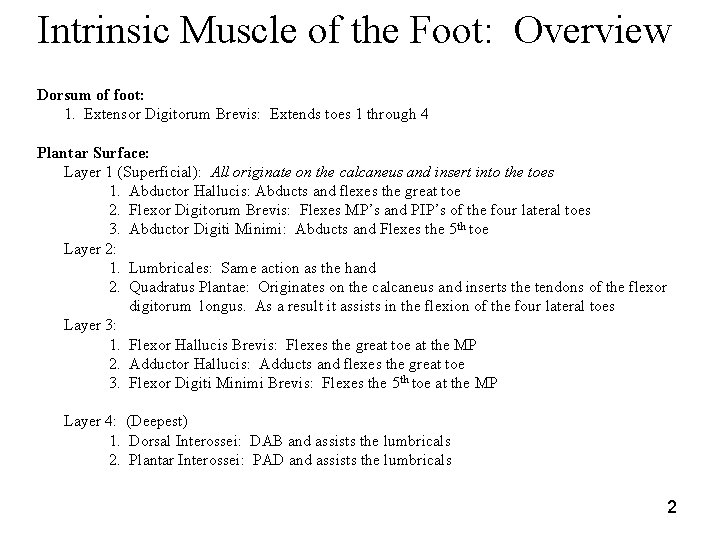 Myology of the Foot 1 Intrinsic Muscle of