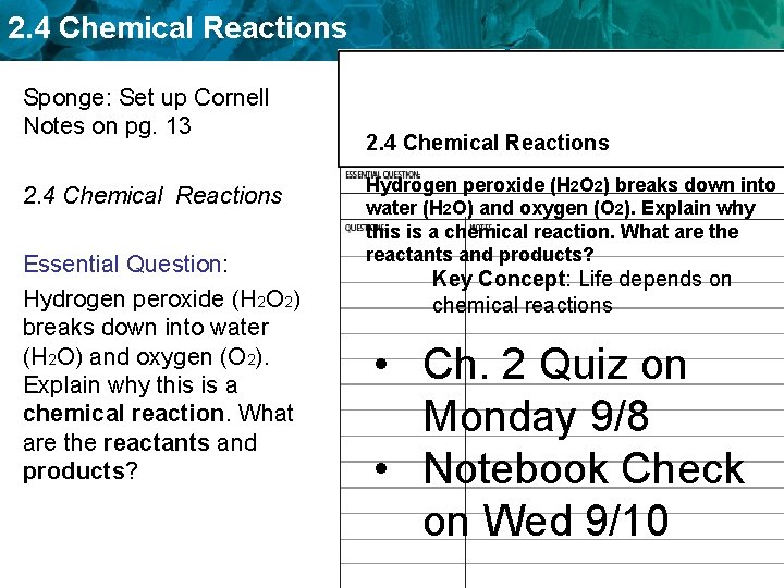 2 4 Chemical Reactions Sponge Set up Cornell