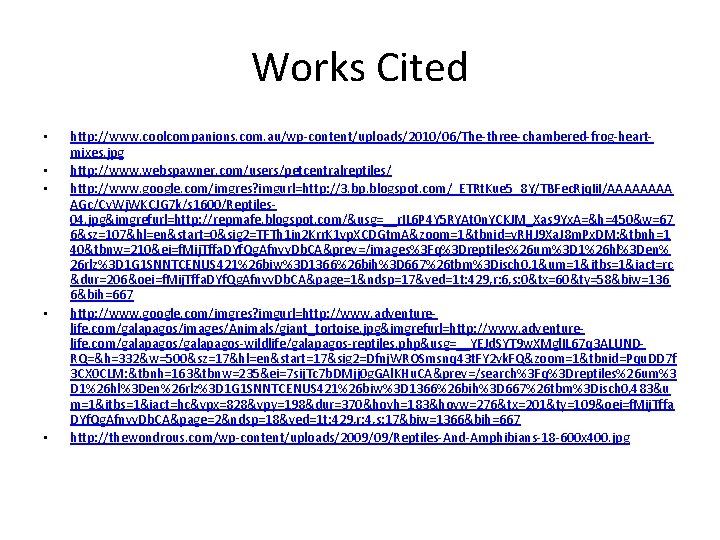 Reptiles Body structure Skeleton almost entirely made of