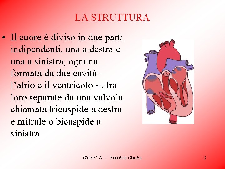COME FUNZIONA IL CUORE Classe 5 A Benedetti