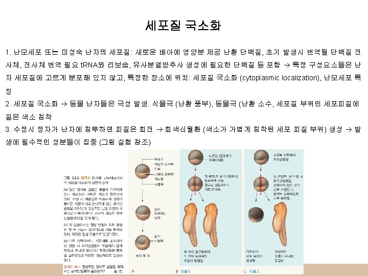 Chapter 27 Reproduction and Embryonic Development 2012 Pearson