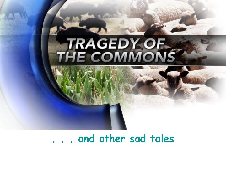 and other sad tales Once upon a time