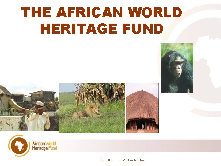 THE AFRICAN WORLD HERITAGE FUND Investing in Africa