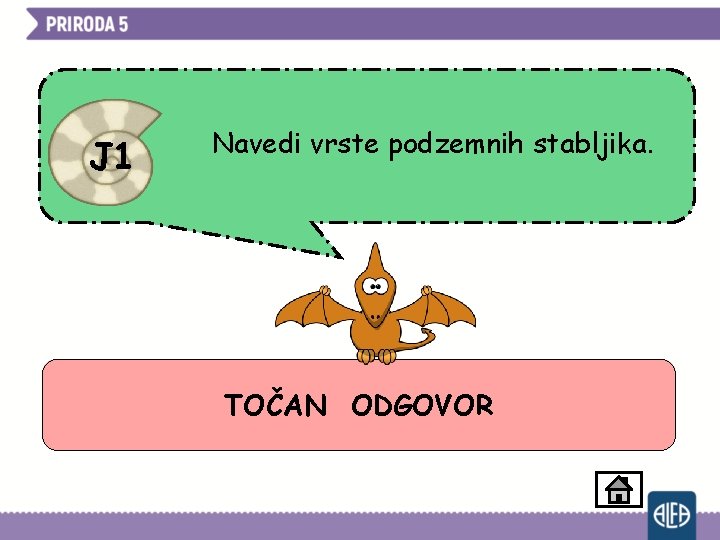 Ponavljanje gradiva i provjera znanja PRILAGOAVANJE IVIH BIA