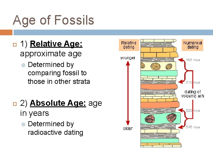 EVIDENCE FOR EVOLUTION Chapter 15 Biogeography Study of