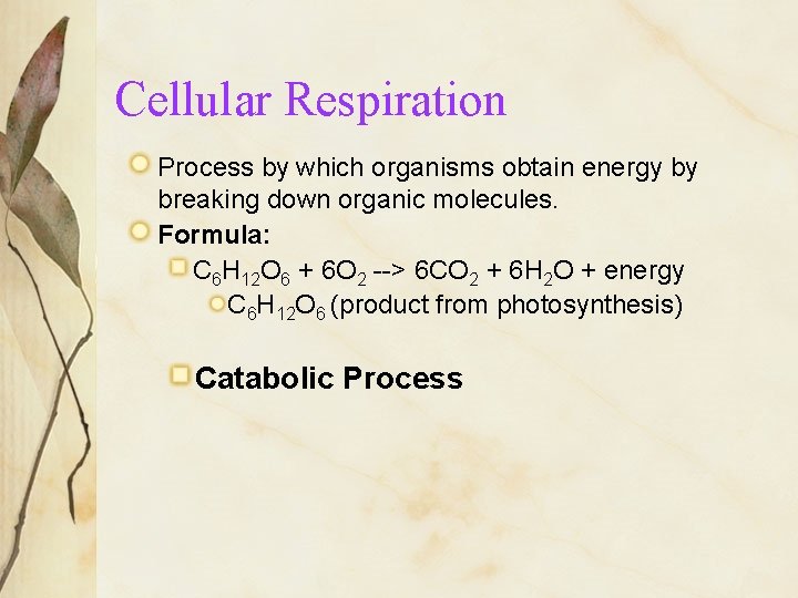 Chapter 8 Cellular Energy How Organisms Obtain Energy