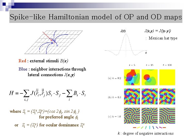Understanding visual map formation through vortex dynamics of