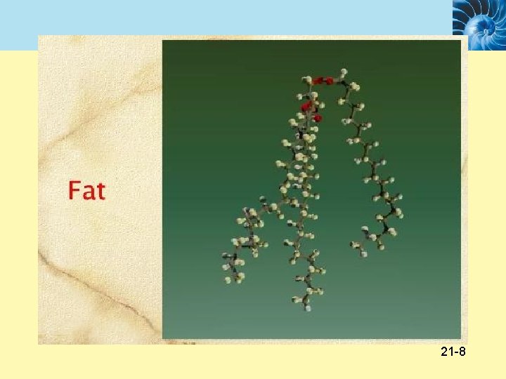 Frederick A Bettelheim William H Brown Mary K