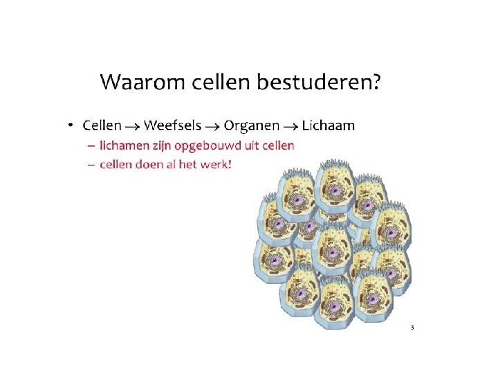 READER AFP 1 OPBOUW VAN HET MENSELIJK LICHAAM