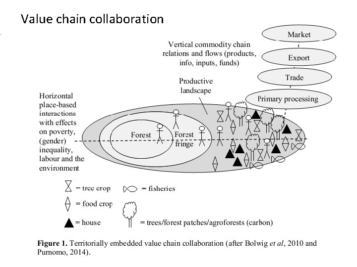 Inclusive value chain collaboration in the tree crop