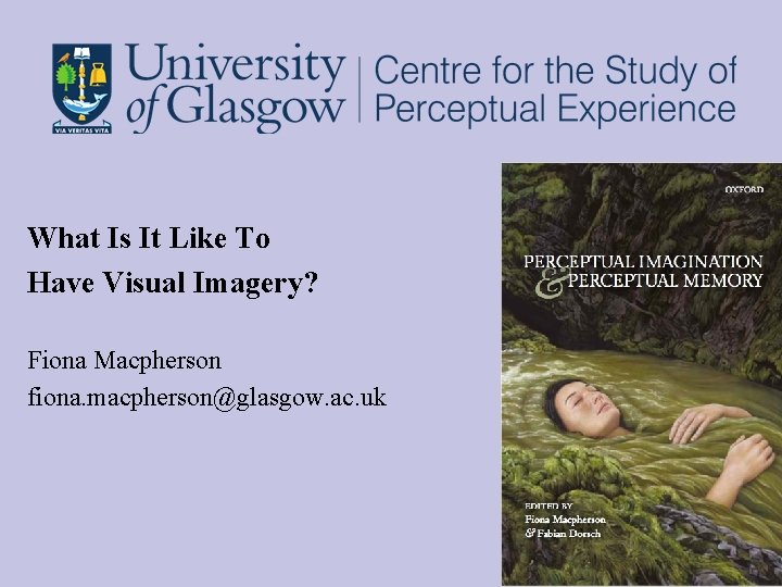 What Is It Like To Have Visual Imagery