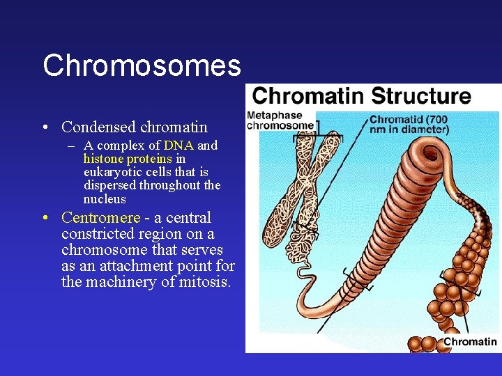 Chapter 8 Cell Reproduction Cell Cycle aka a