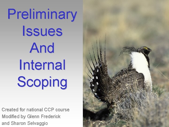 Preliminary Issues And Internal Scoping Created for national