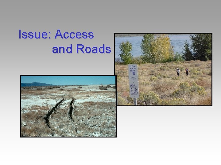 Preliminary Issues And Internal Scoping Created for national