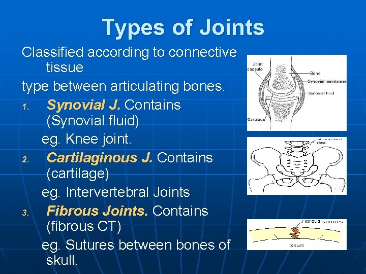Introduction to Anatomy By Dr Maher T ALHadidi